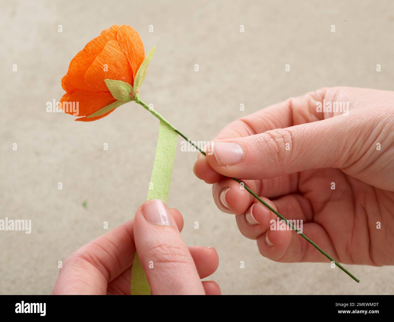 Papercraft. DIY Paper Ranunculus wrapping the stem Stock Photo - Alamy