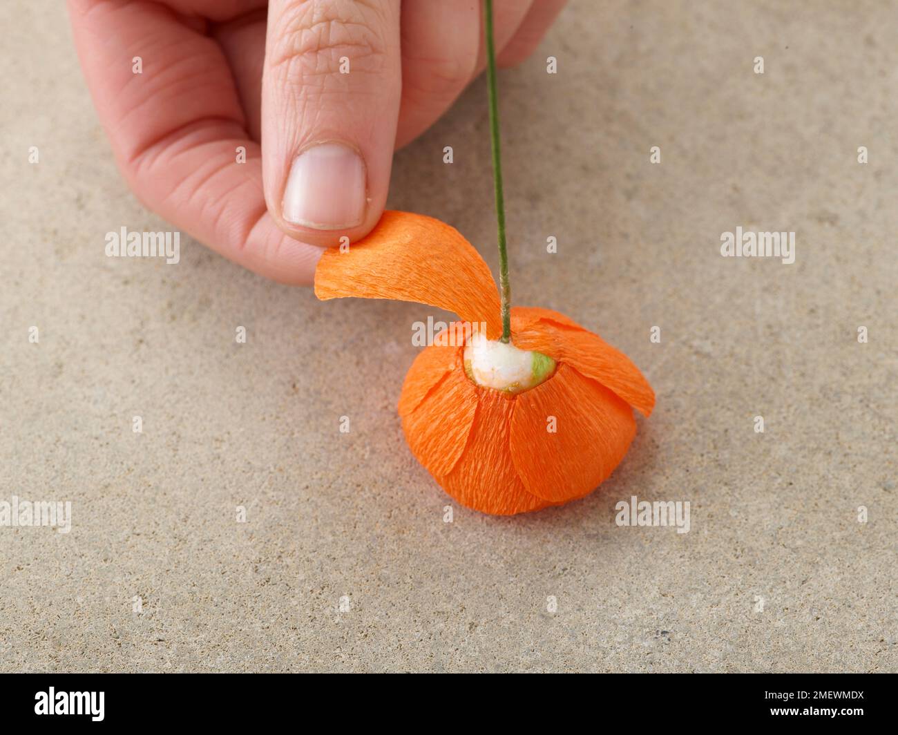 Papercraft. DIY Paper Ranunculus adding base petals Stock Photo - Alamy