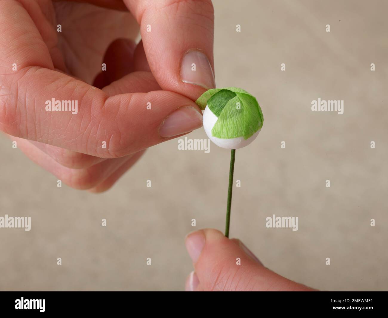 Papercraft. DIY Paper Ranunculus adding petals to polystyrene base ...