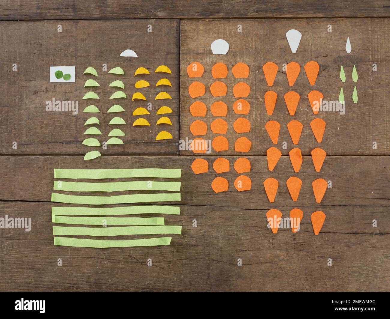 Papercraft. DIY Paper Ranunculus petal, stem and leaf cut outs Stock ...