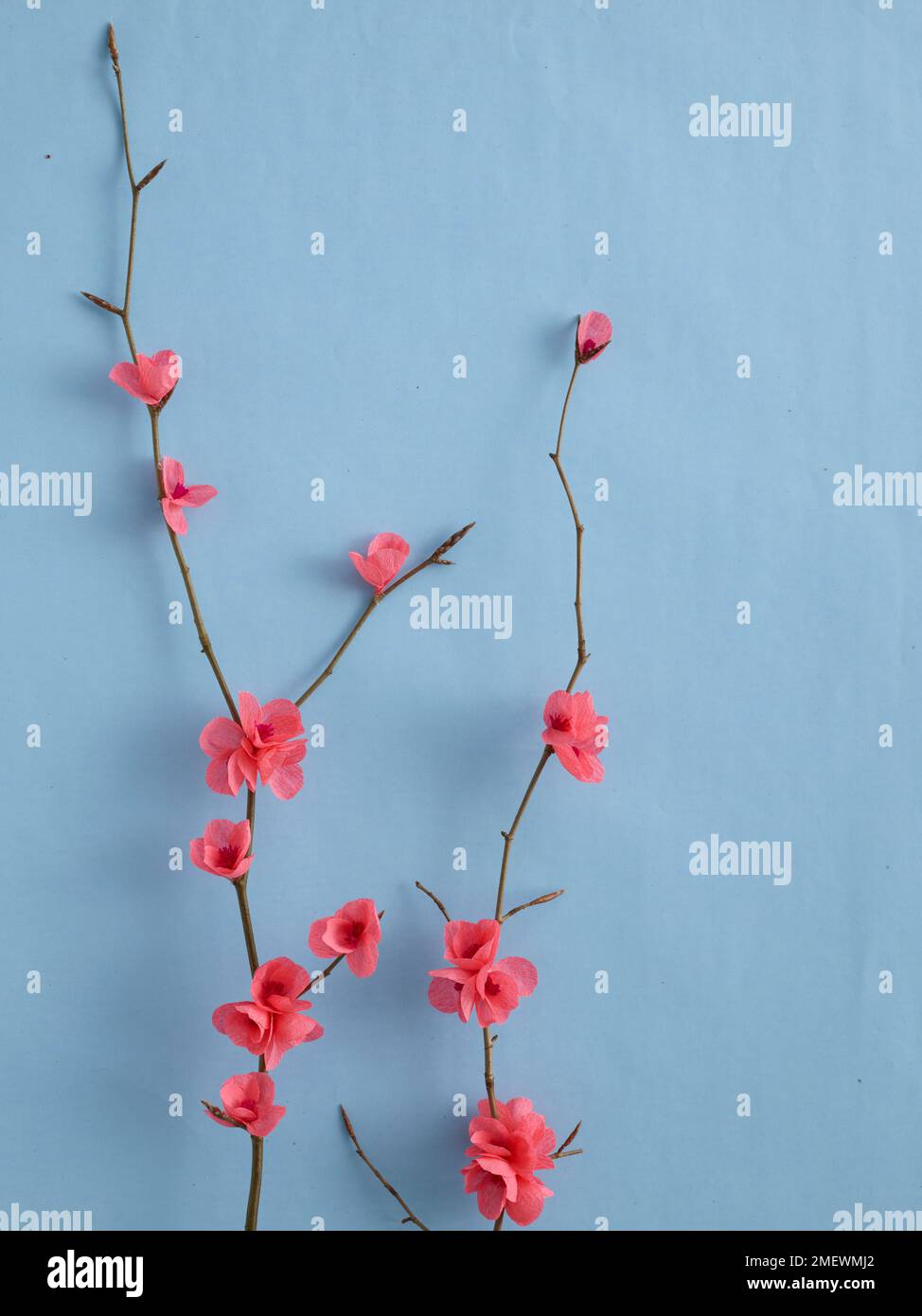 Papercraft. DIY Pink Blossom attached to branches on blue background ...