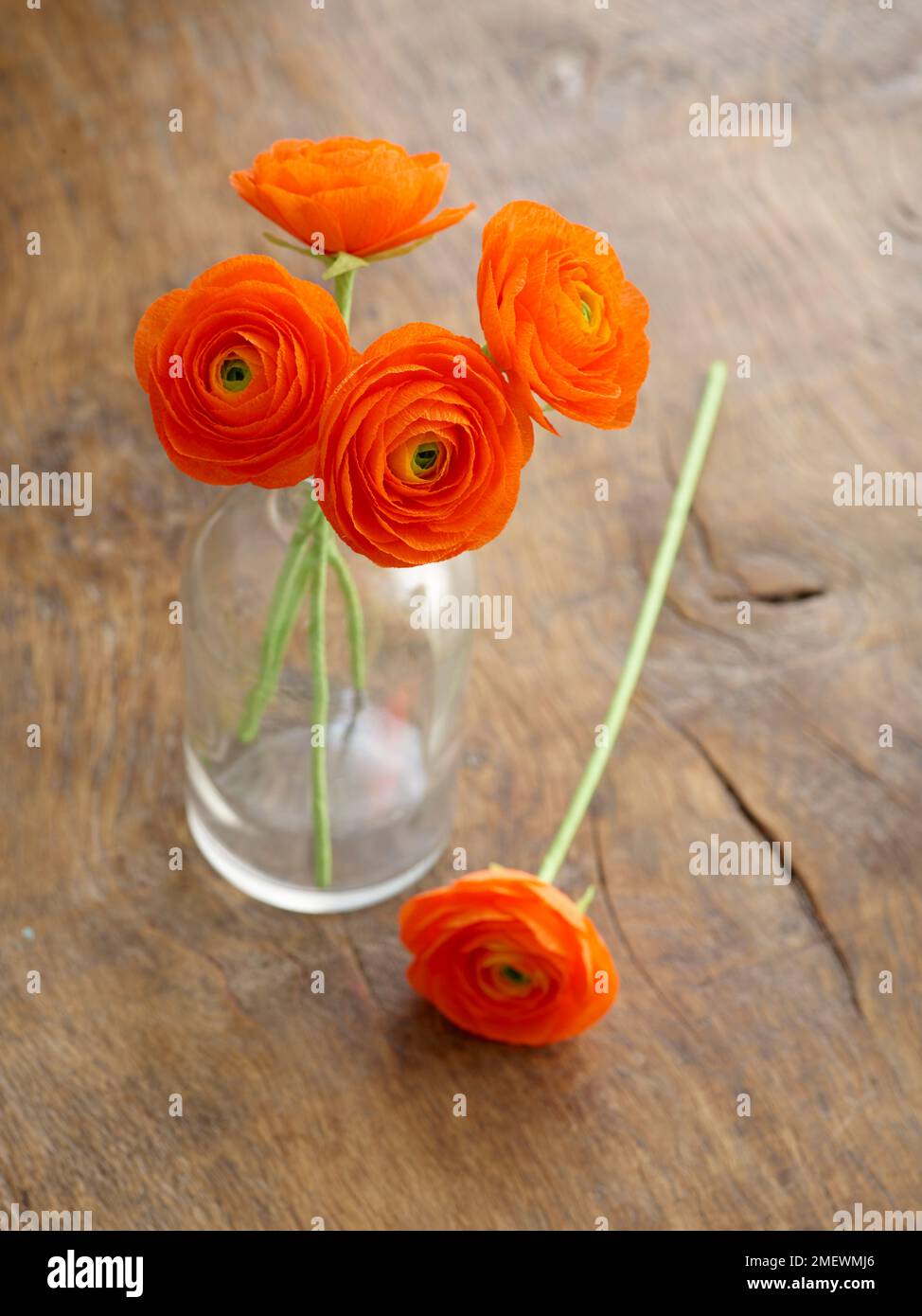 Papercraft. DIY Paper Ranunculus in bottle on wooden background Stock ...