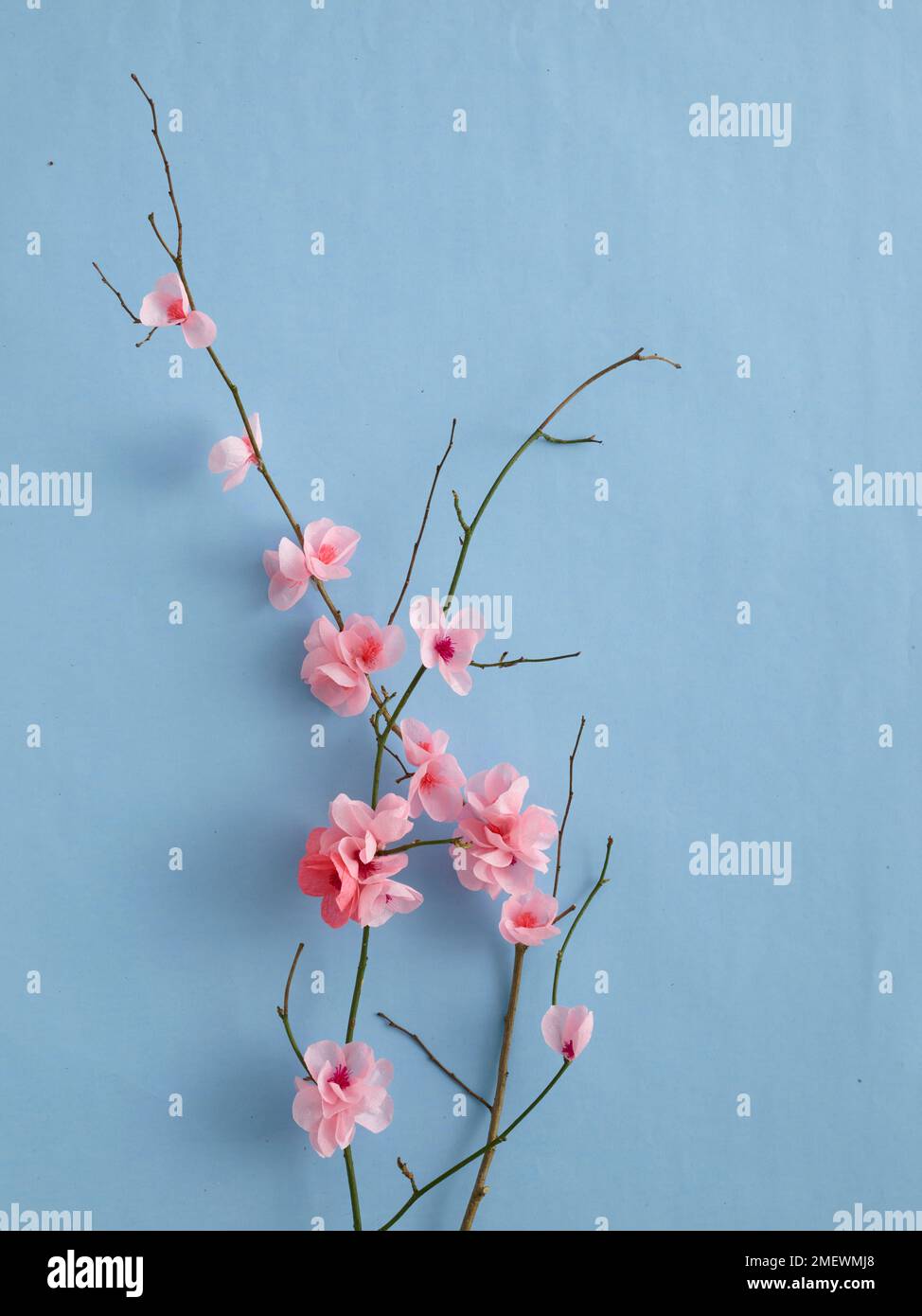 Papercraft. DIY Pink Blossom attached to branches on blue background ...