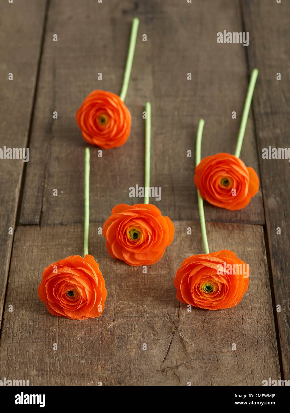 Papercraft. DIY Paper Ranunculus lying on wood background Stock Photo ...