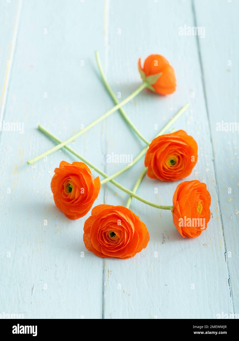 Papercraft. DIY Paper Ranunculus lying on wood background Stock Photo ...