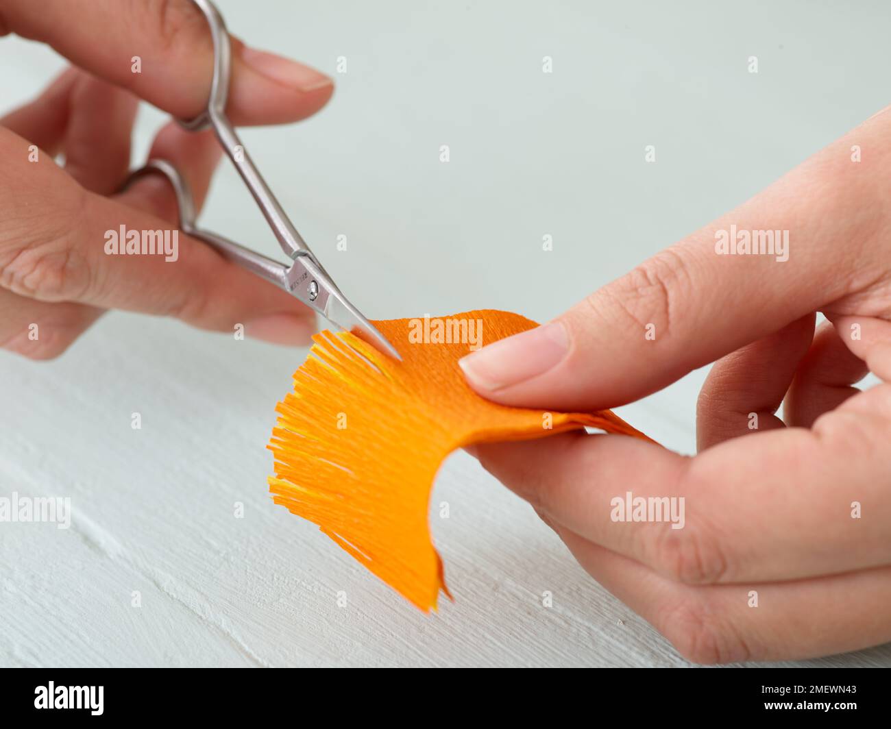 Papercraft Peony steps Stock Photo - Alamy