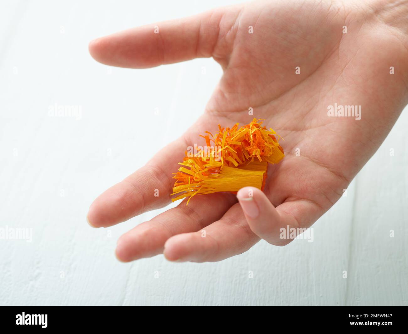Papercraft Peony steps Stock Photo - Alamy