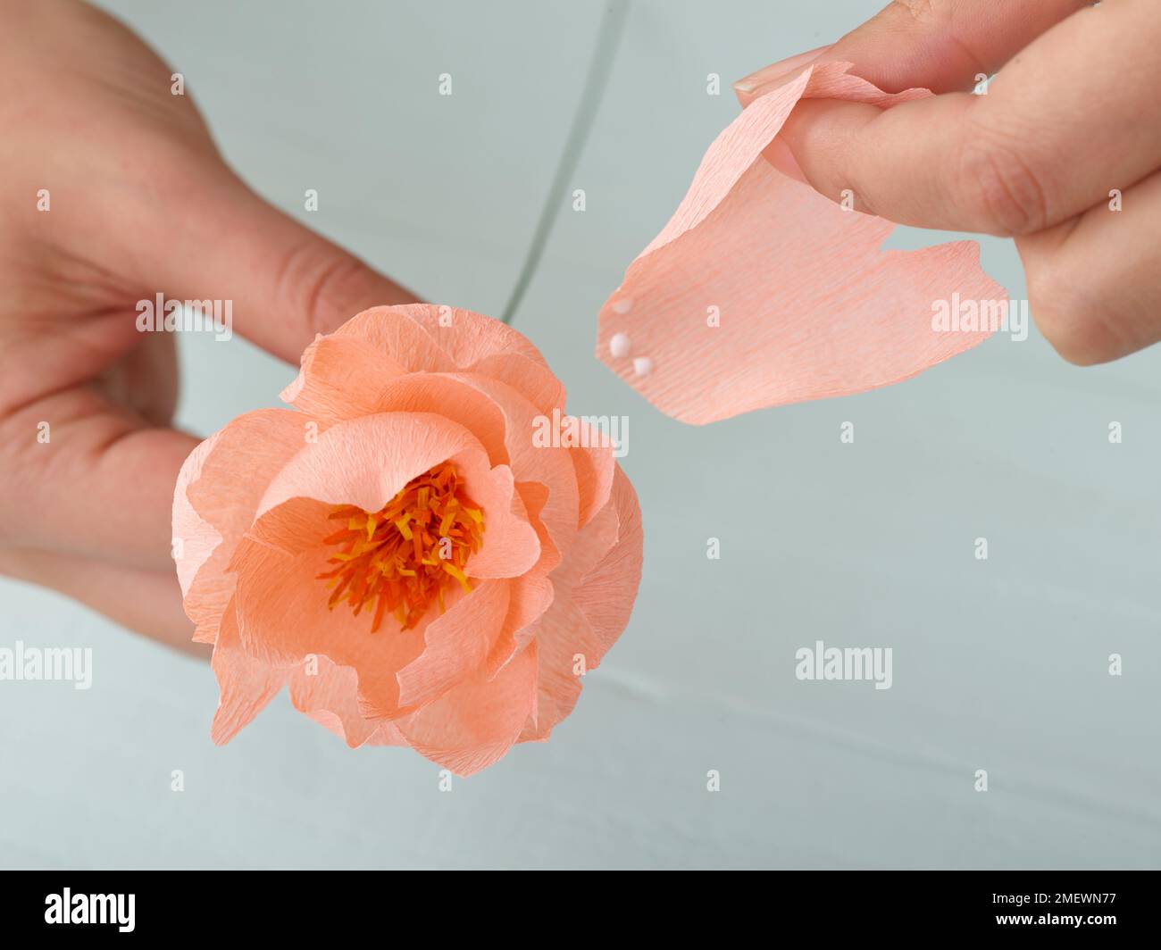 Papercraft Peony steps Stock Photo - Alamy