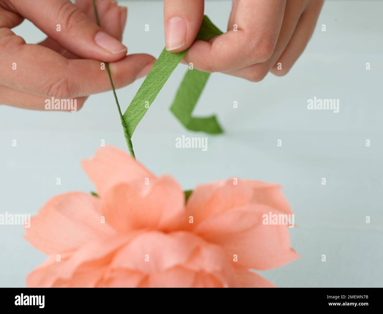 Papercraft Peony steps Stock Photo - Alamy
