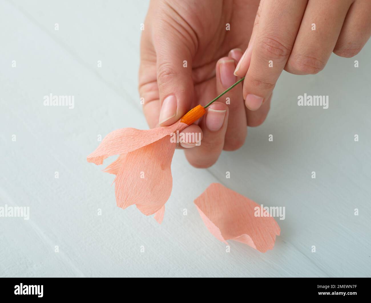 Papercraft Peony steps Stock Photo - Alamy