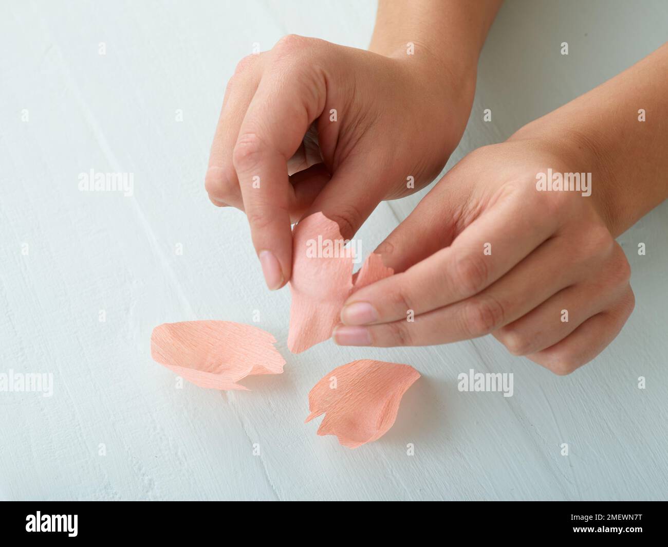 Papercraft Peony steps Stock Photo - Alamy