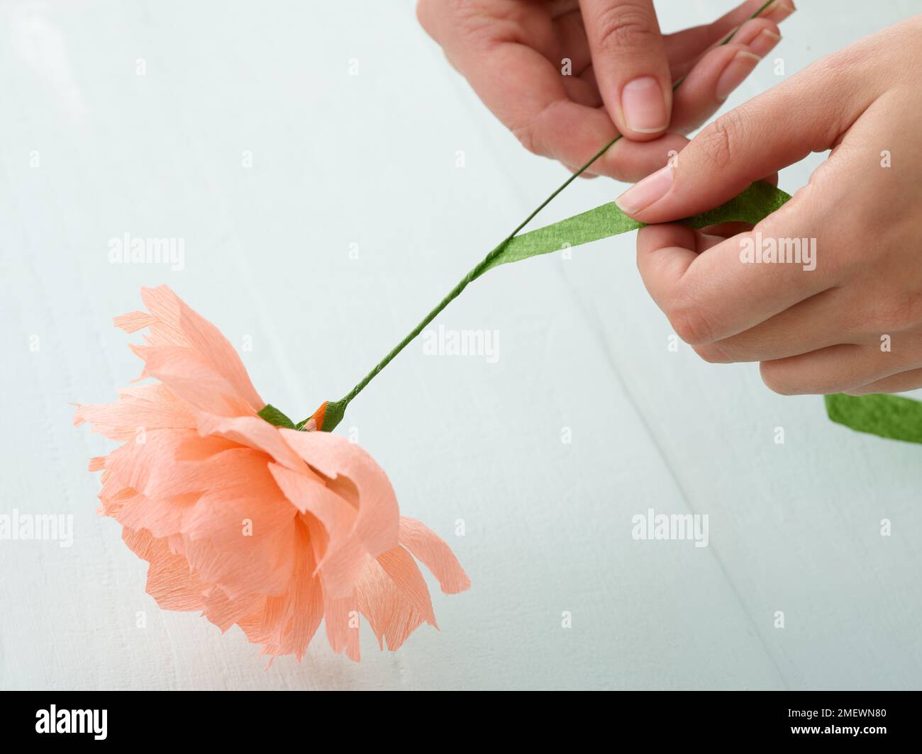 Papercraft Peony steps Stock Photo - Alamy