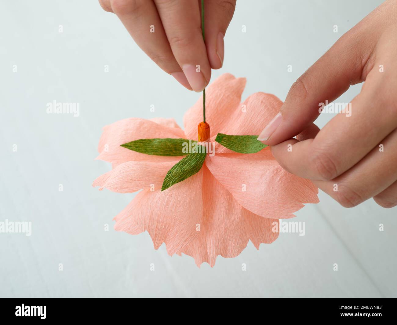 Papercraft Peony steps Stock Photo - Alamy