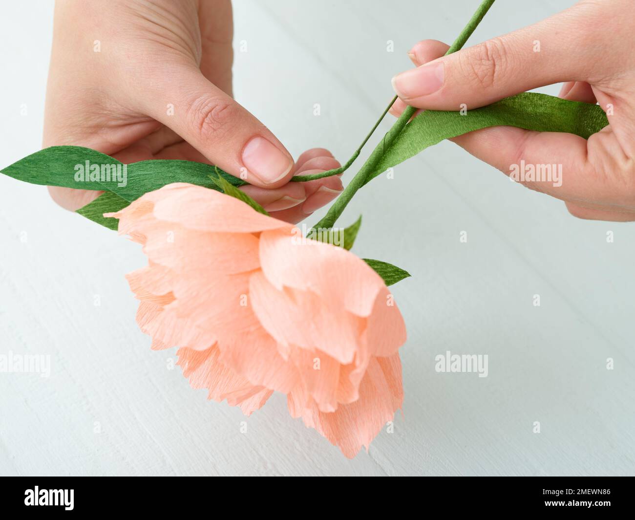 Papercraft Peony steps Stock Photo - Alamy