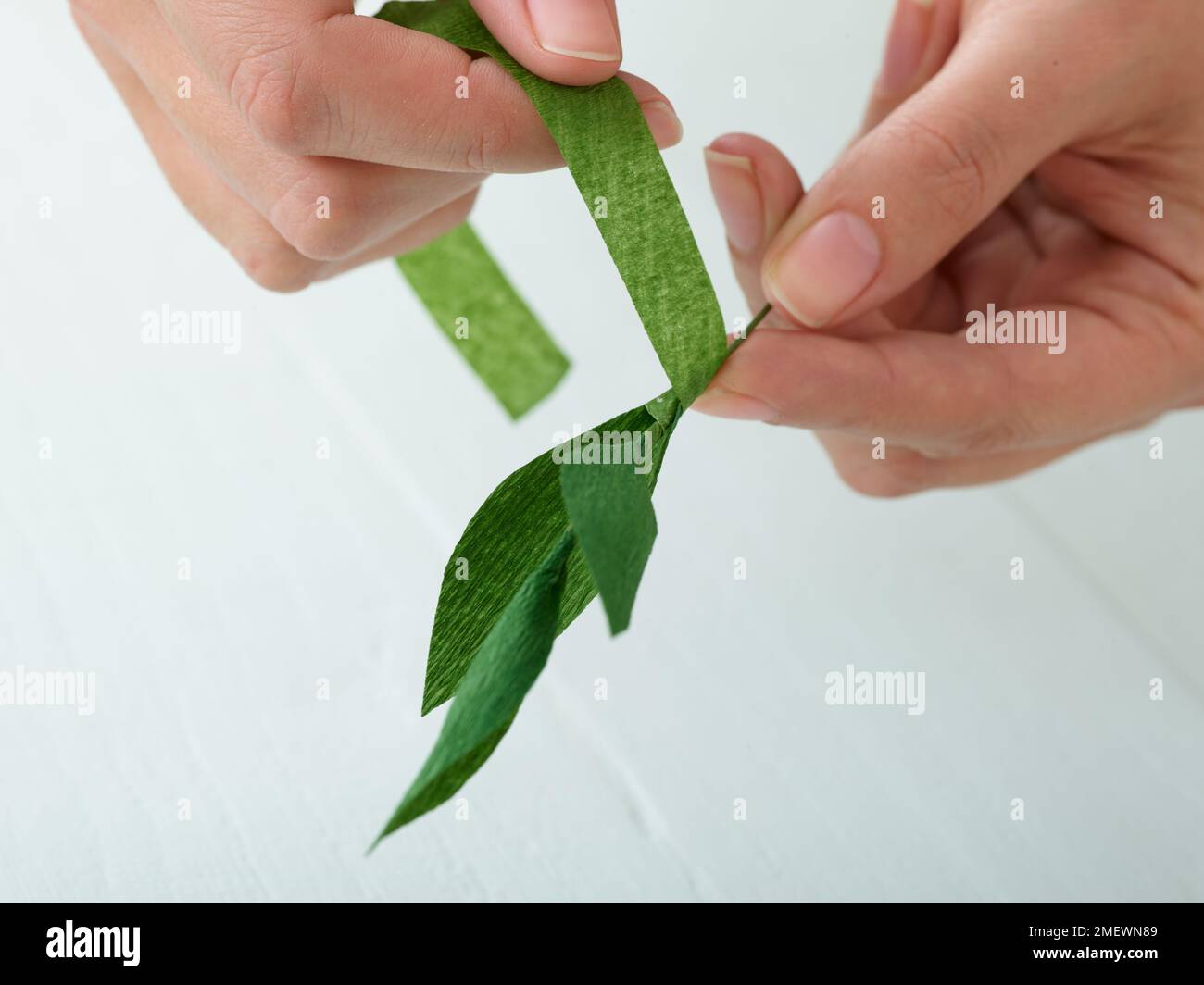 Papercraft Peony steps Stock Photo - Alamy