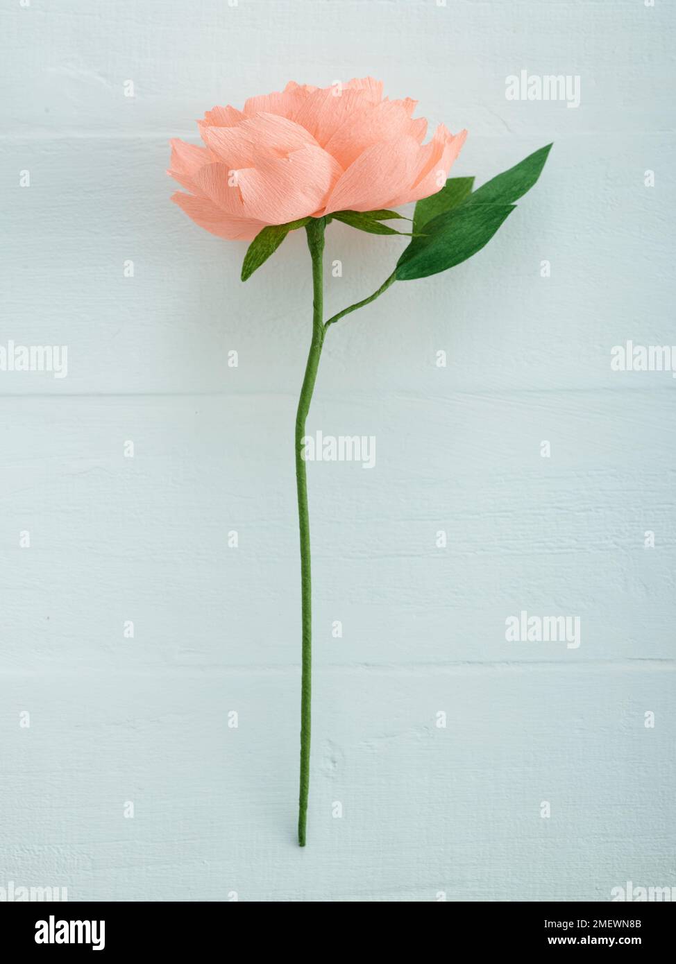 Papercraft Peony steps Stock Photo - Alamy