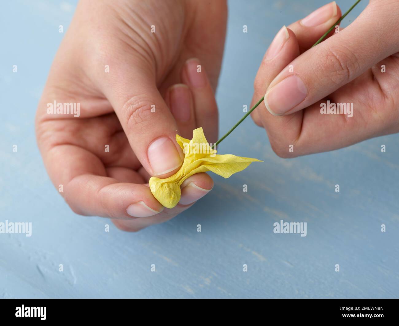 Papercraft Daisy steps Stock Photo - Alamy