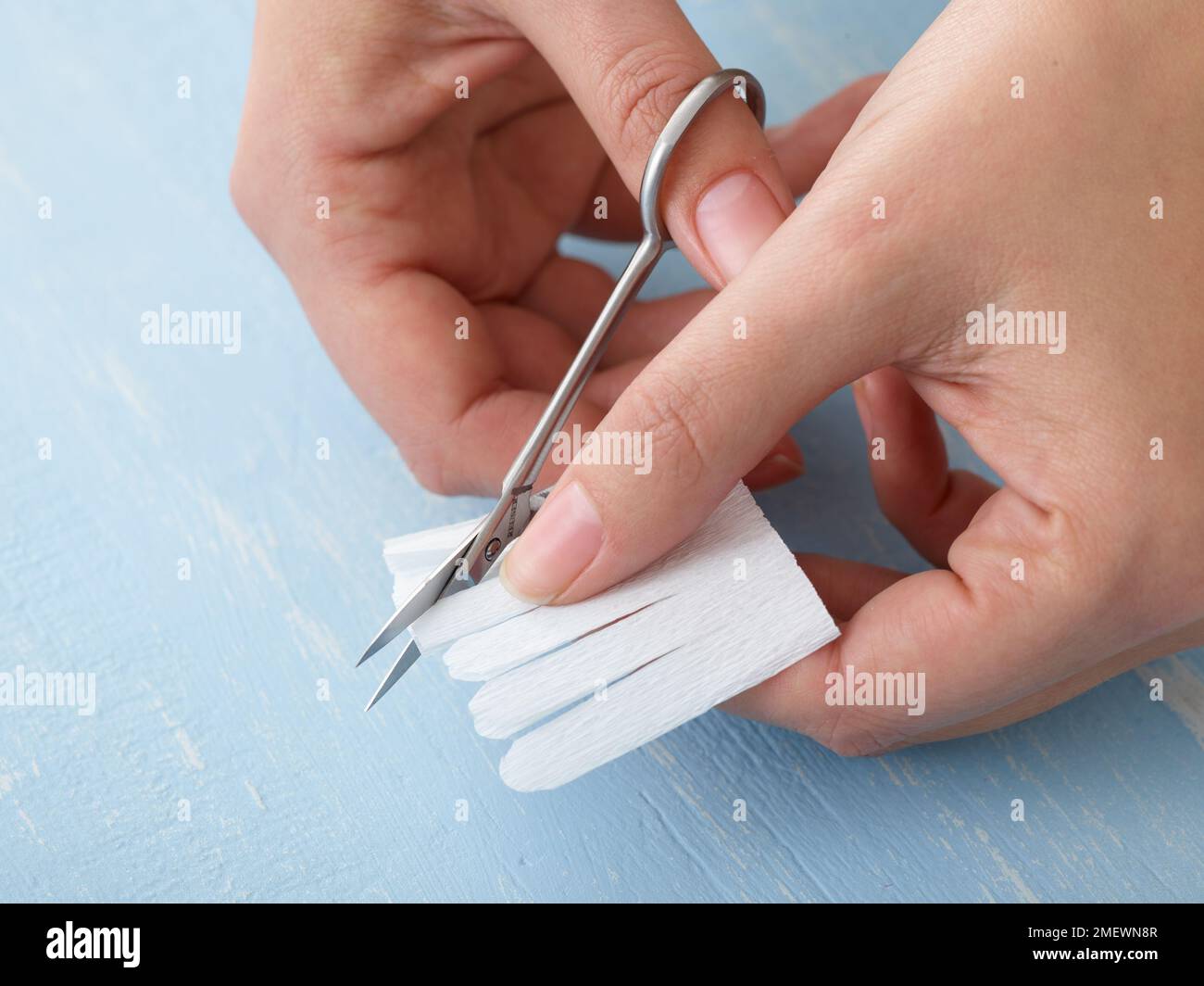 Papercraft Daisy steps Stock Photo - Alamy