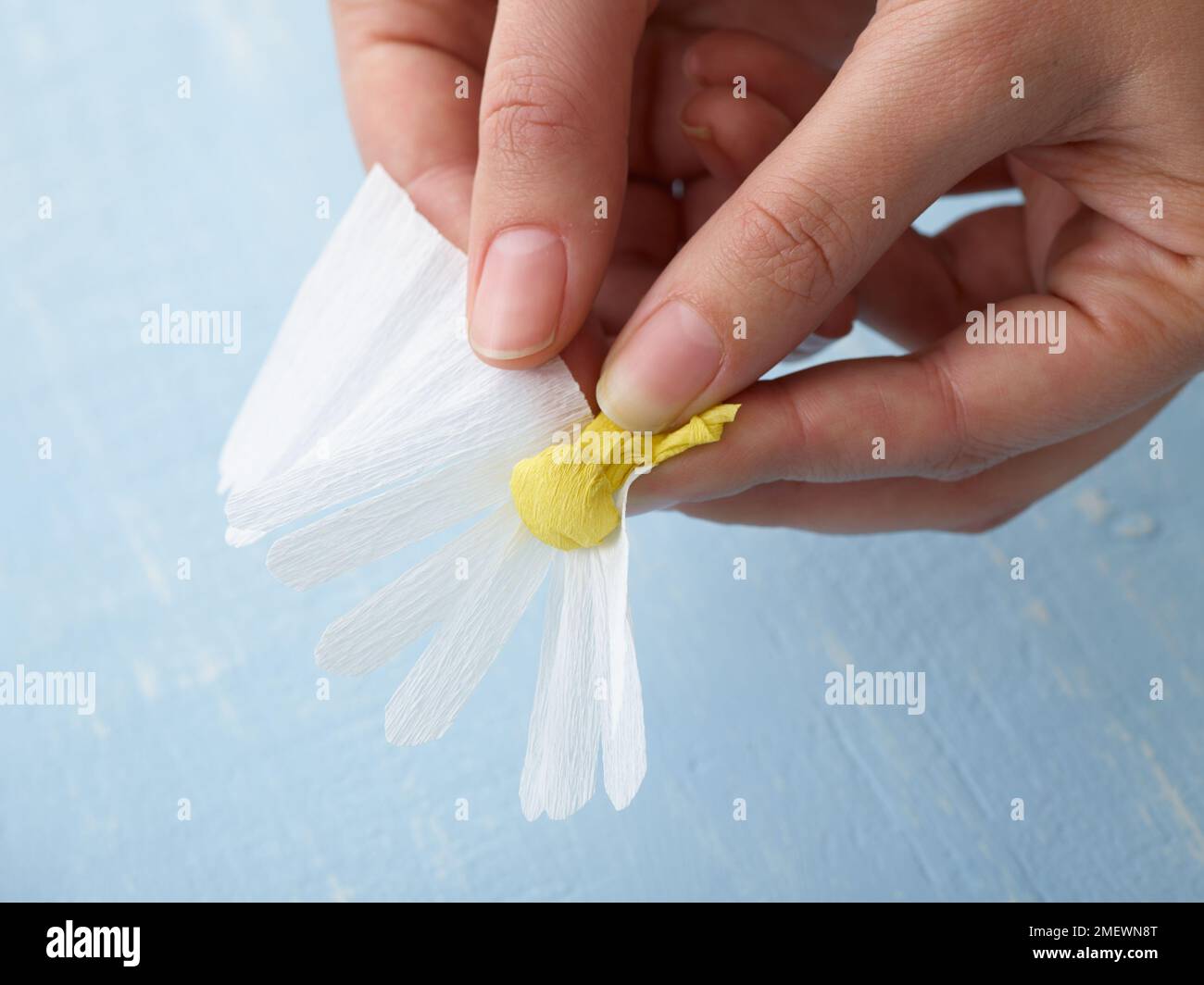 Papercraft Daisy steps Stock Photo - Alamy