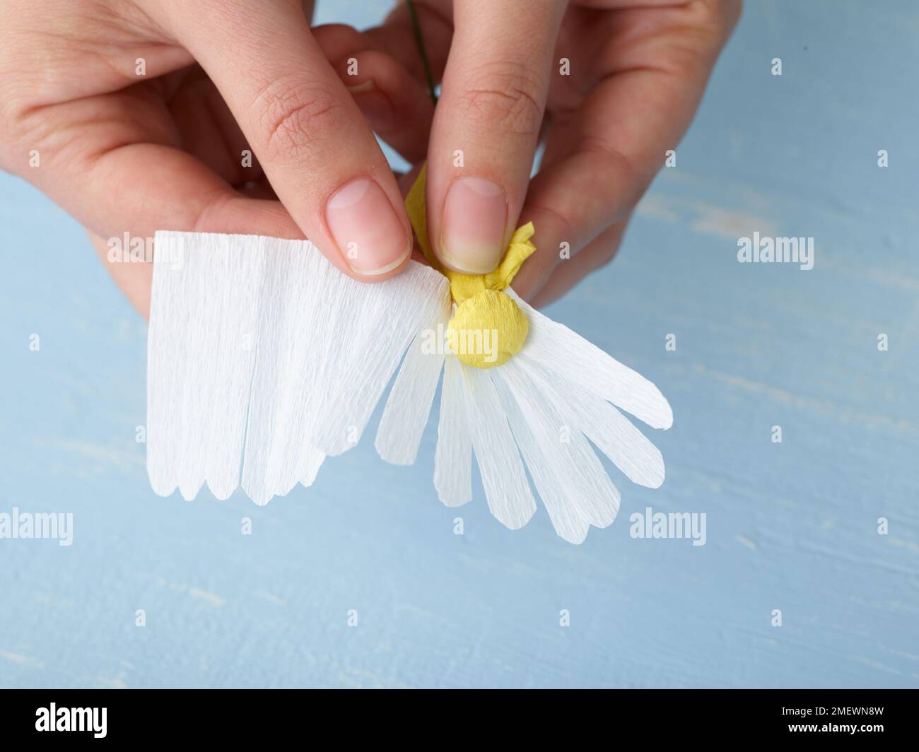 Papercraft Daisy steps Stock Photo - Alamy