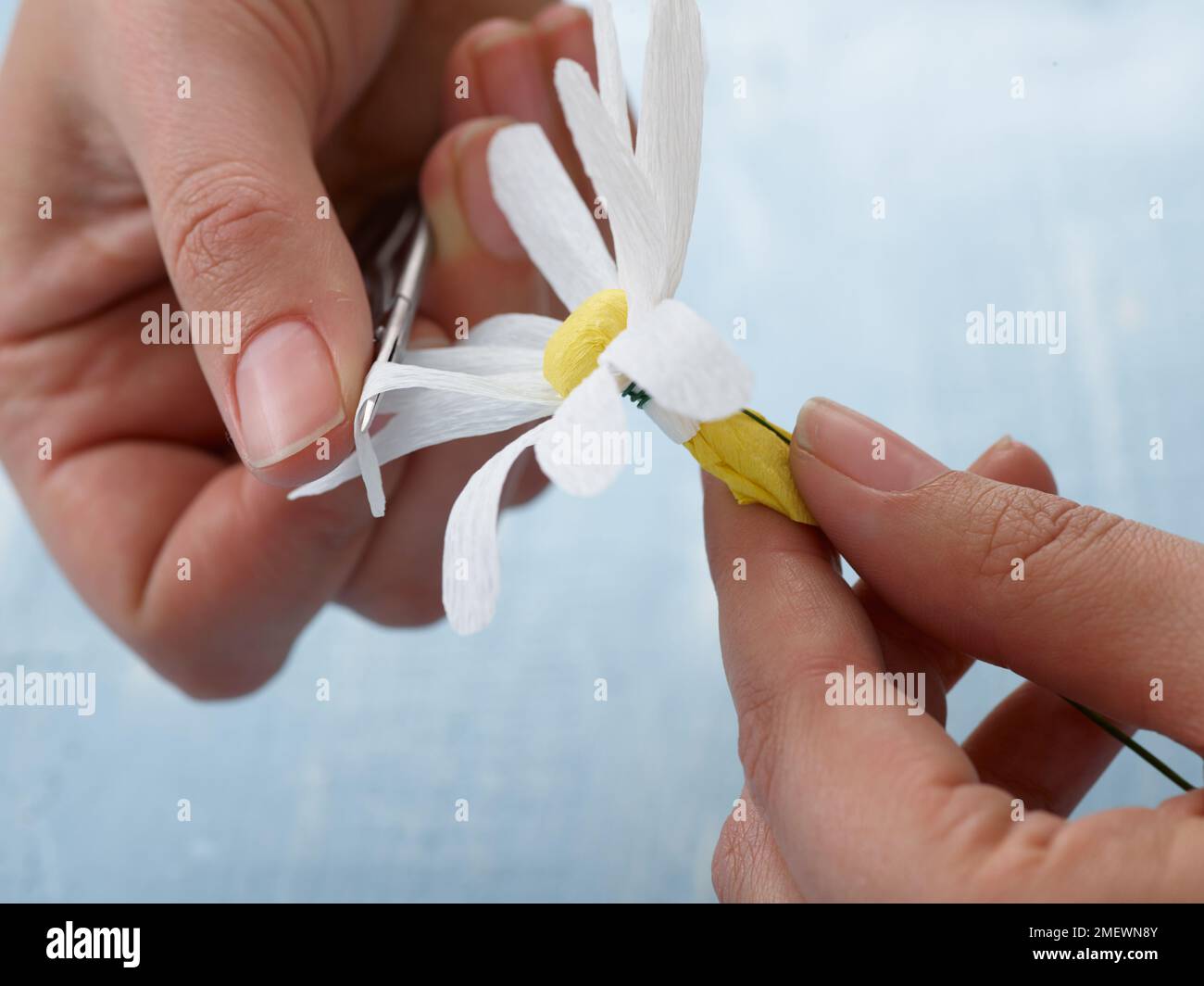Papercraft Daisy steps Stock Photo - Alamy