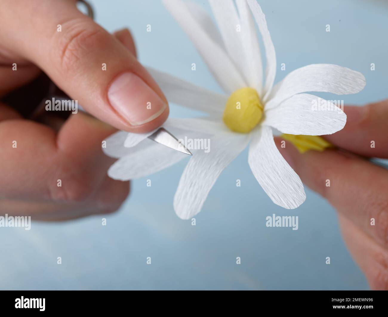Papercraft Daisy steps Stock Photo - Alamy