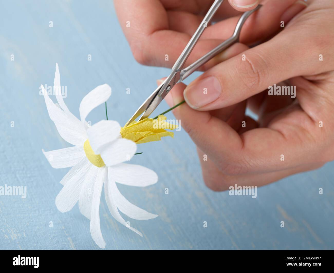 Papercraft Daisy steps Stock Photo - Alamy
