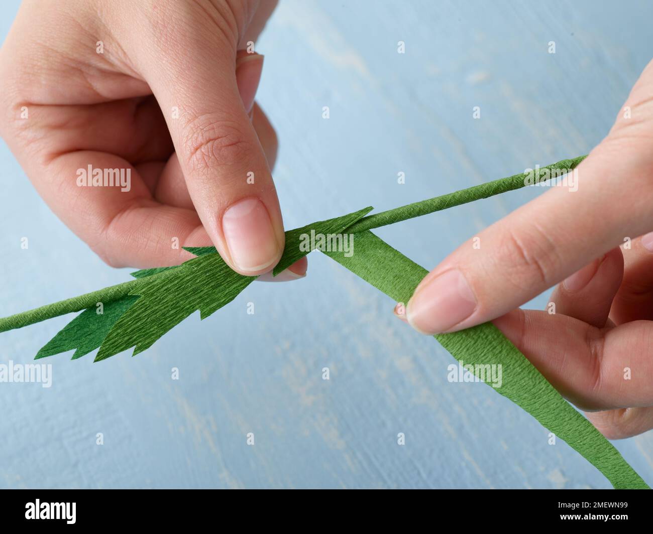 Papercraft Daisy steps Stock Photo - Alamy