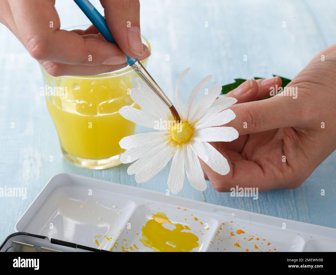 Daisy brush hi-res stock photography and images - Alamy