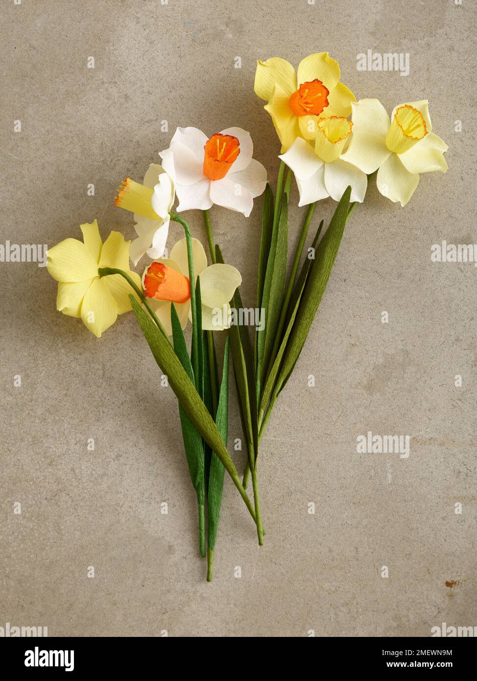 Papercraft Daffodil beauty shot Stock Photo - Alamy