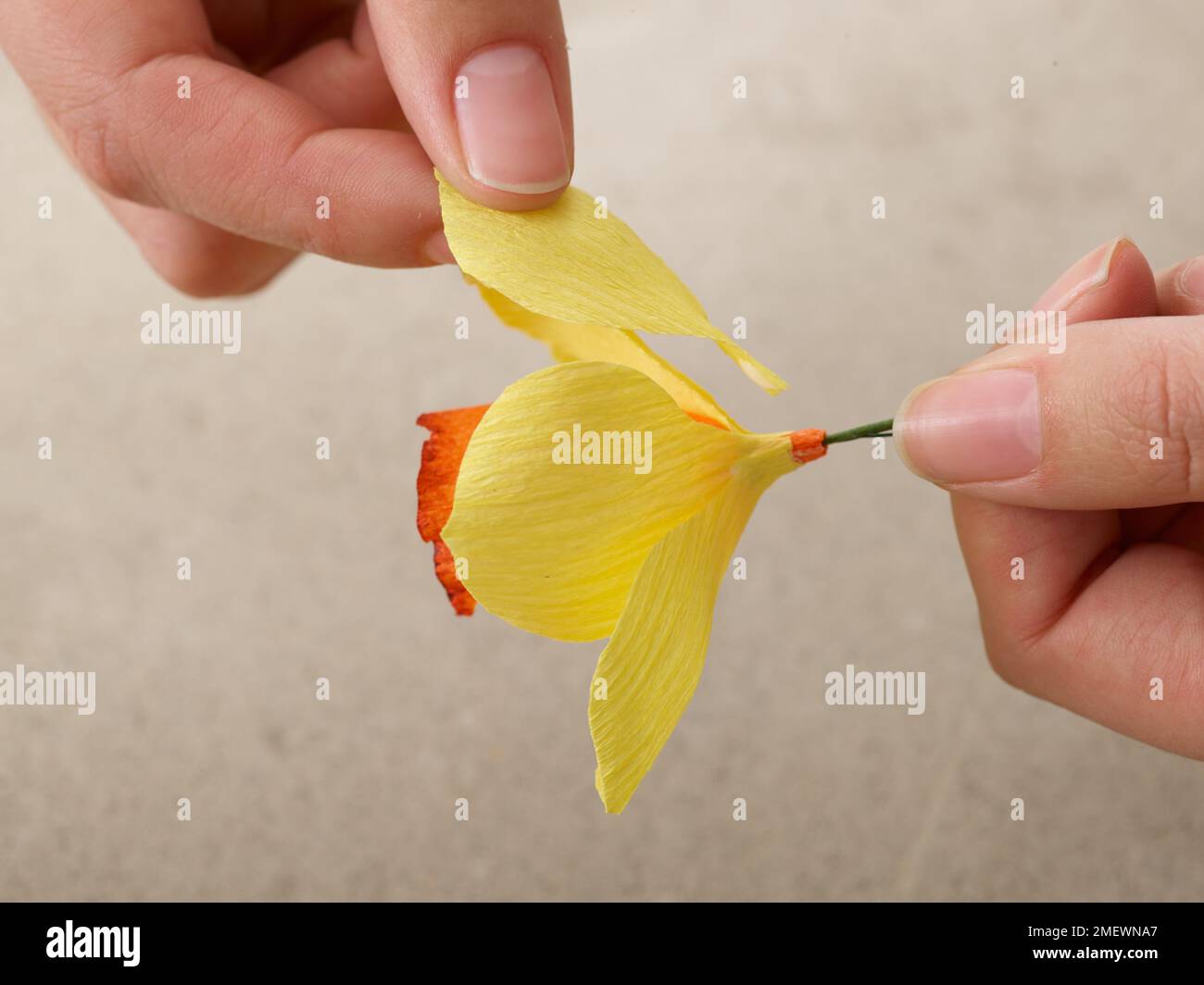 Papercraft Daffodil steps Stock Photo - Alamy