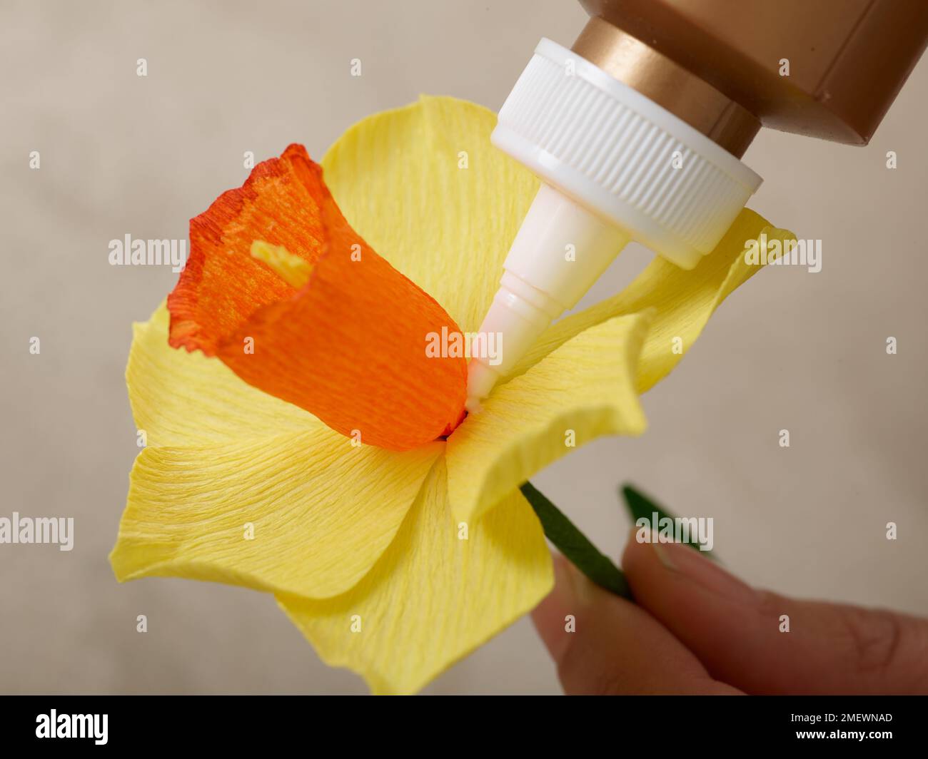 Papercraft Daffodil steps Stock Photo - Alamy