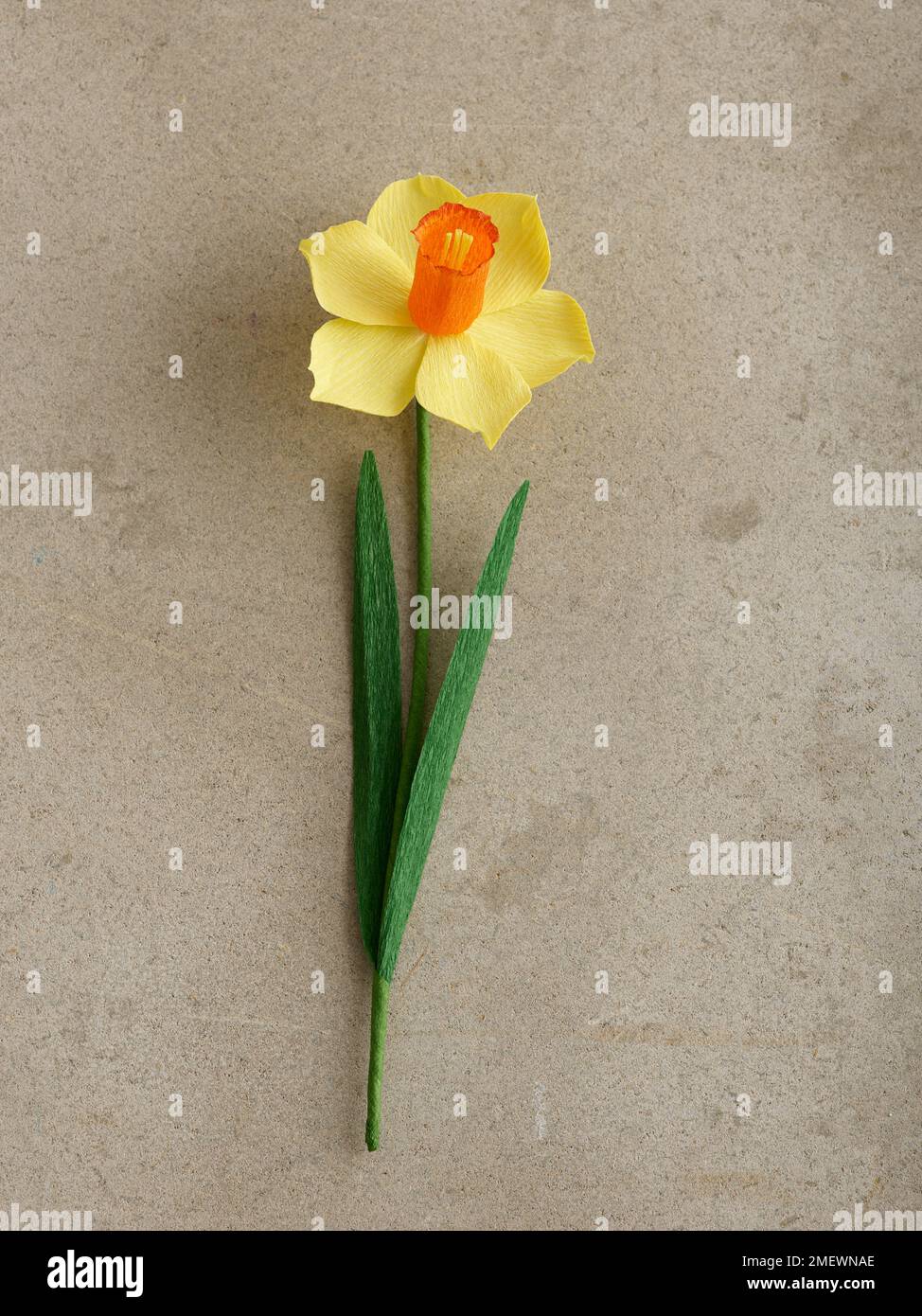 Papercraft Daffodil steps Stock Photo - Alamy