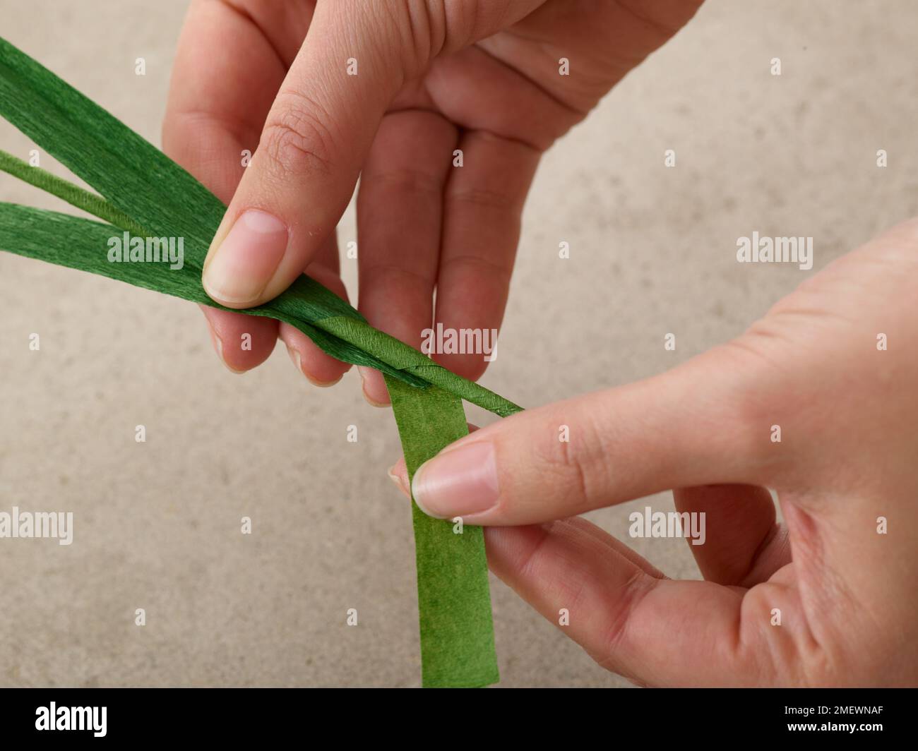 Papercraft Daffodil steps Stock Photo - Alamy