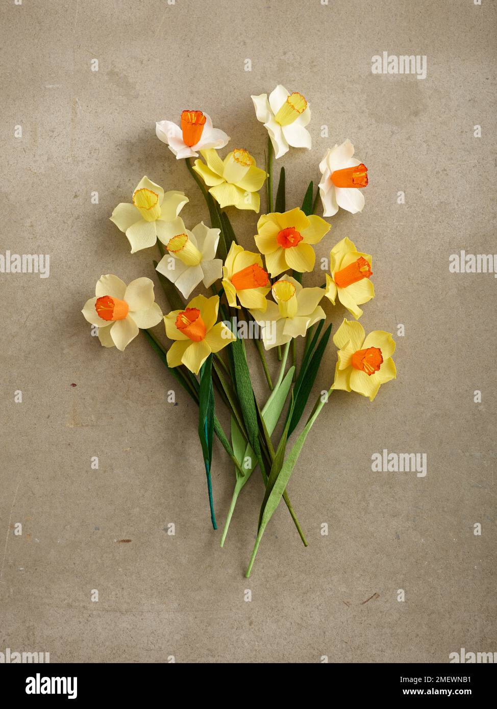 Papercraft Daffodil beauty shot Stock Photo - Alamy