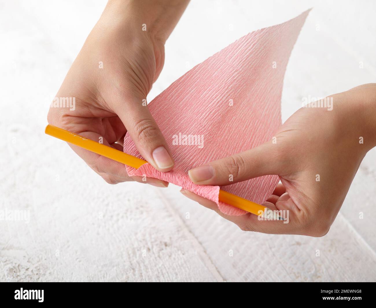 Papercraft Giant roses steps Stock Photo - Alamy