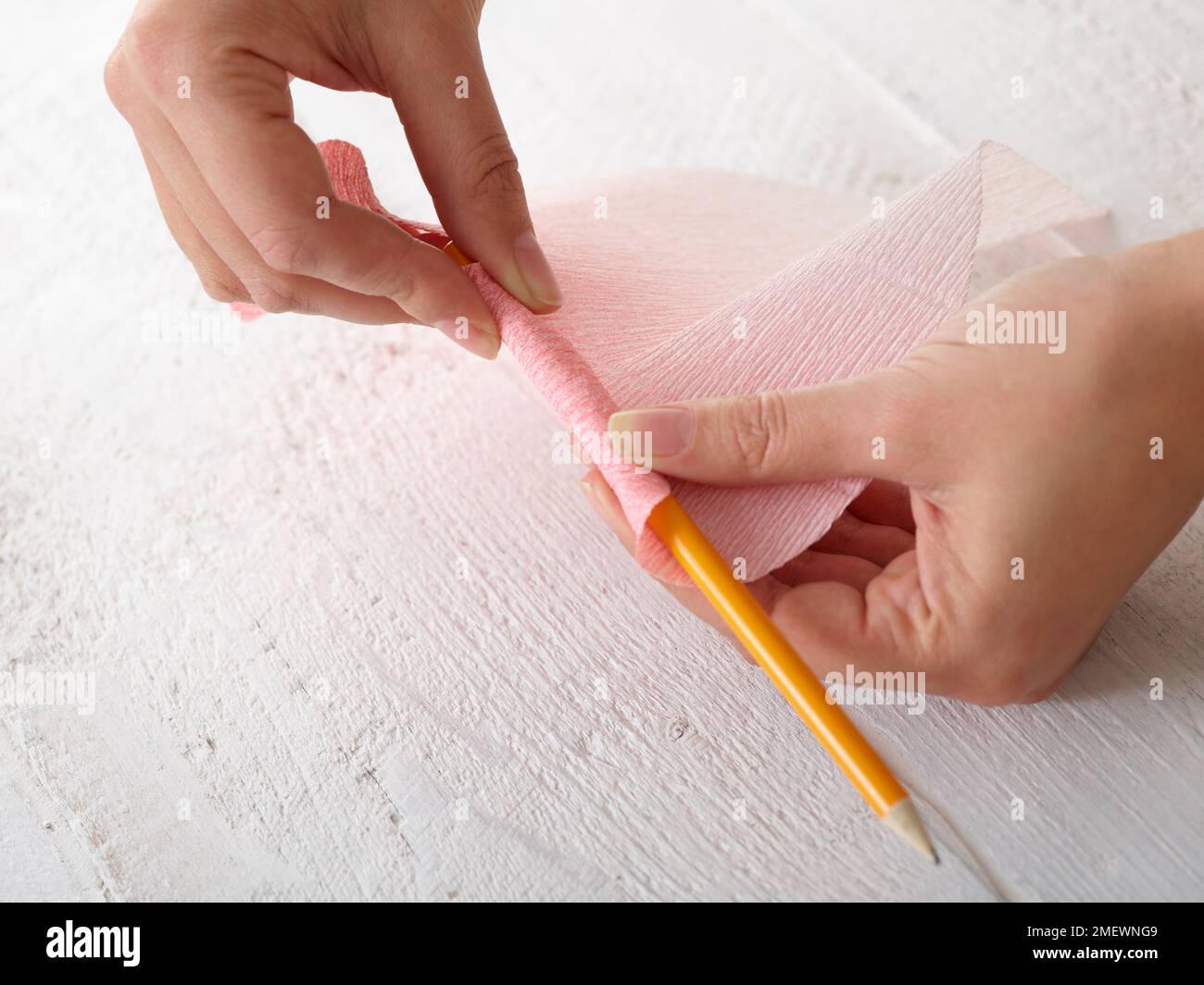 Papercraft Giant roses steps Stock Photo - Alamy