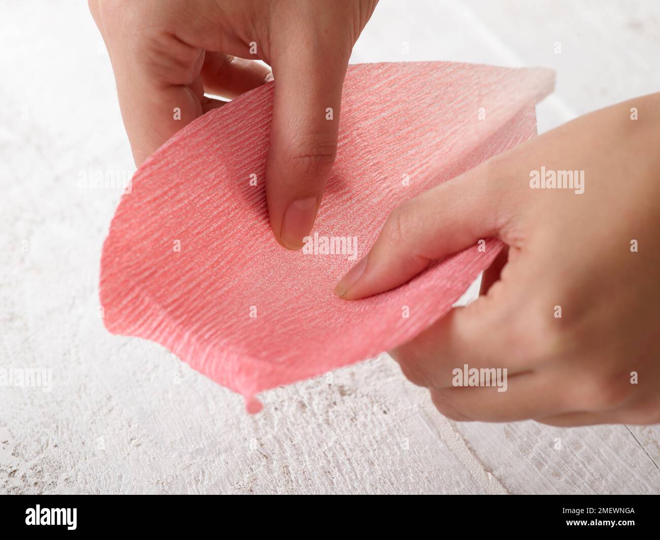 Papercraft Giant roses steps Stock Photo - Alamy