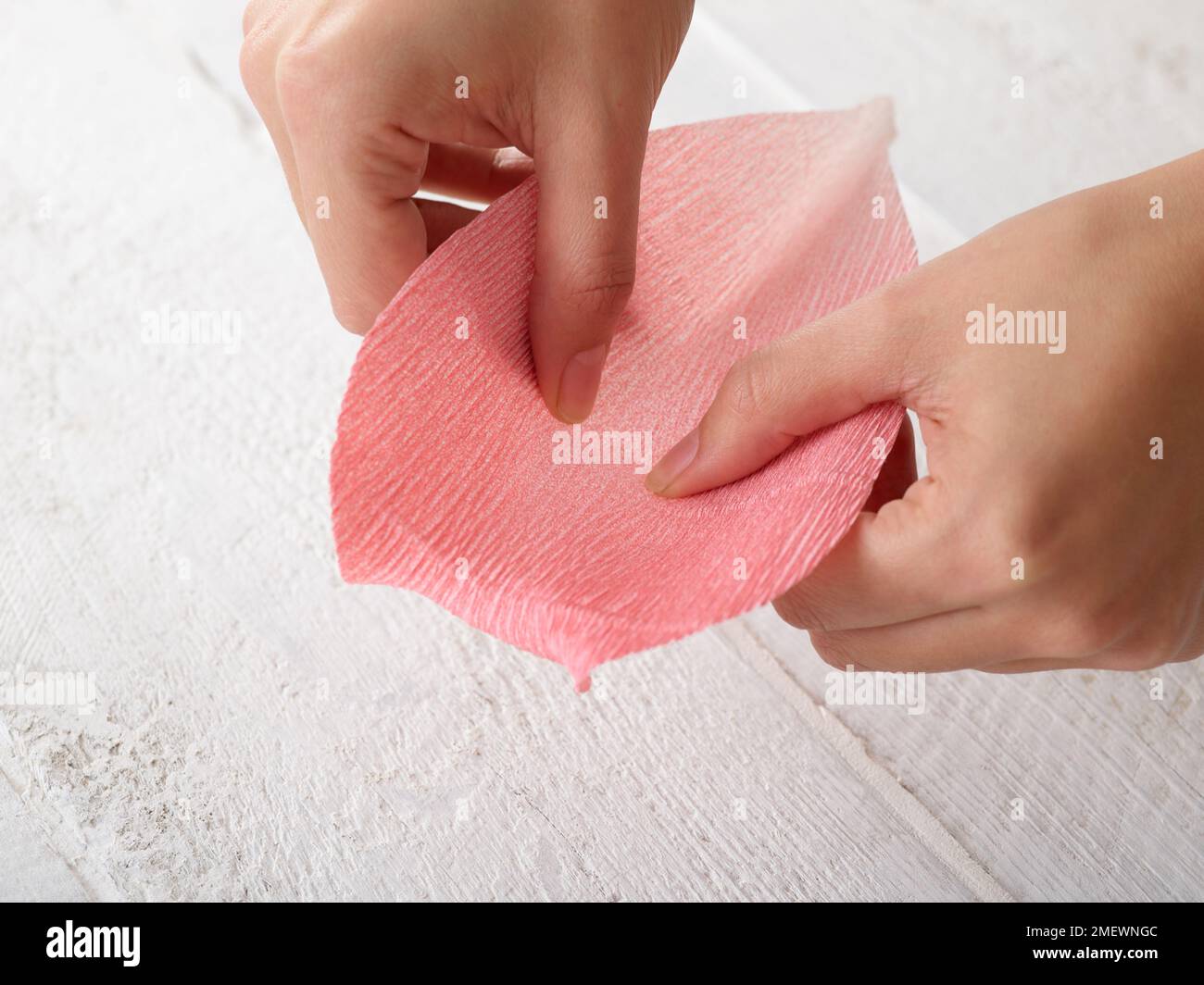 Papercraft Giant roses steps Stock Photo - Alamy
