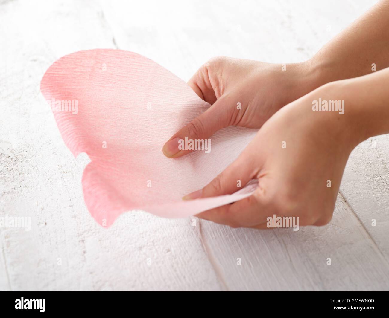 Papercraft Giant roses steps Stock Photo - Alamy