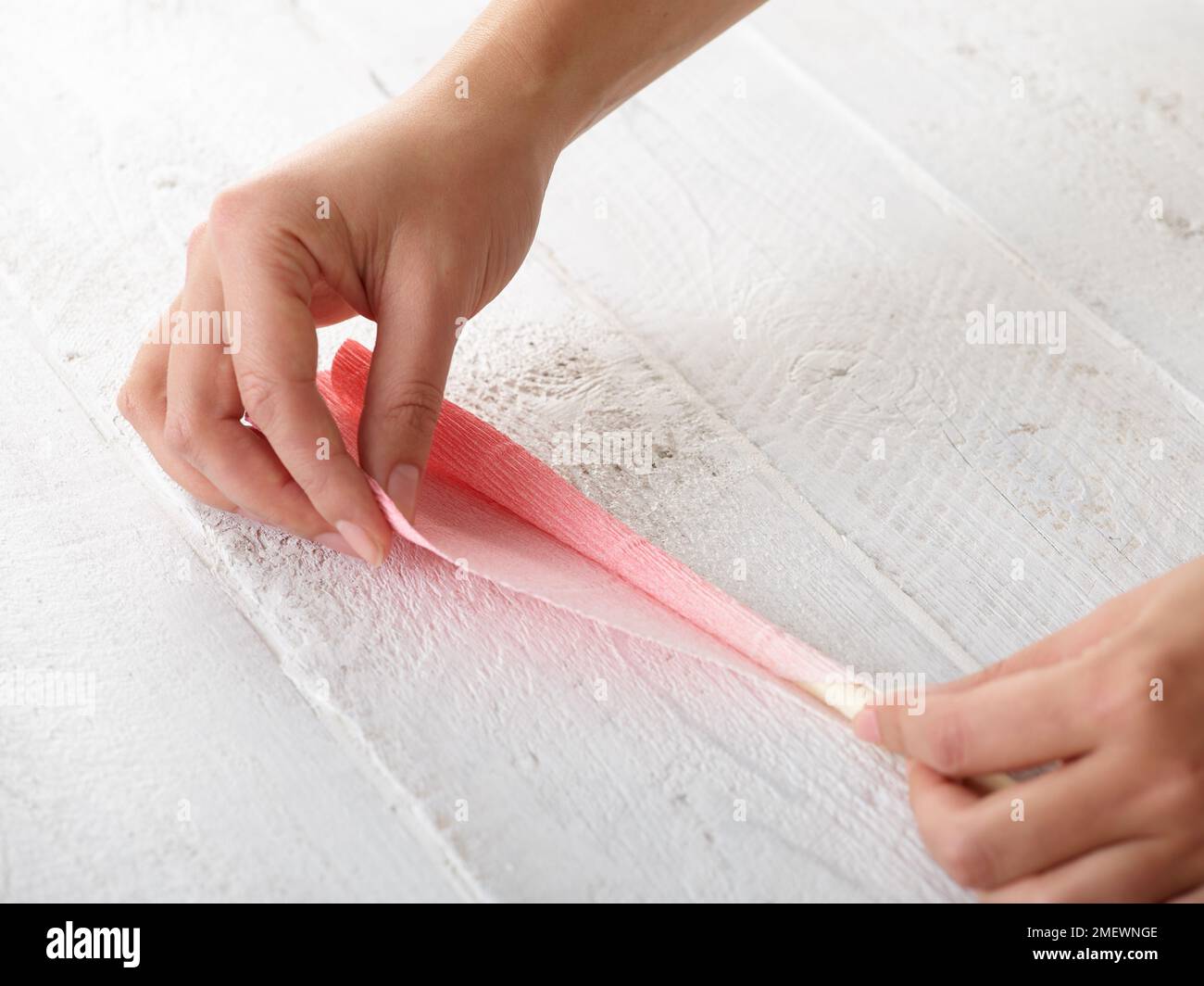 Papercraft Giant roses steps Stock Photo - Alamy