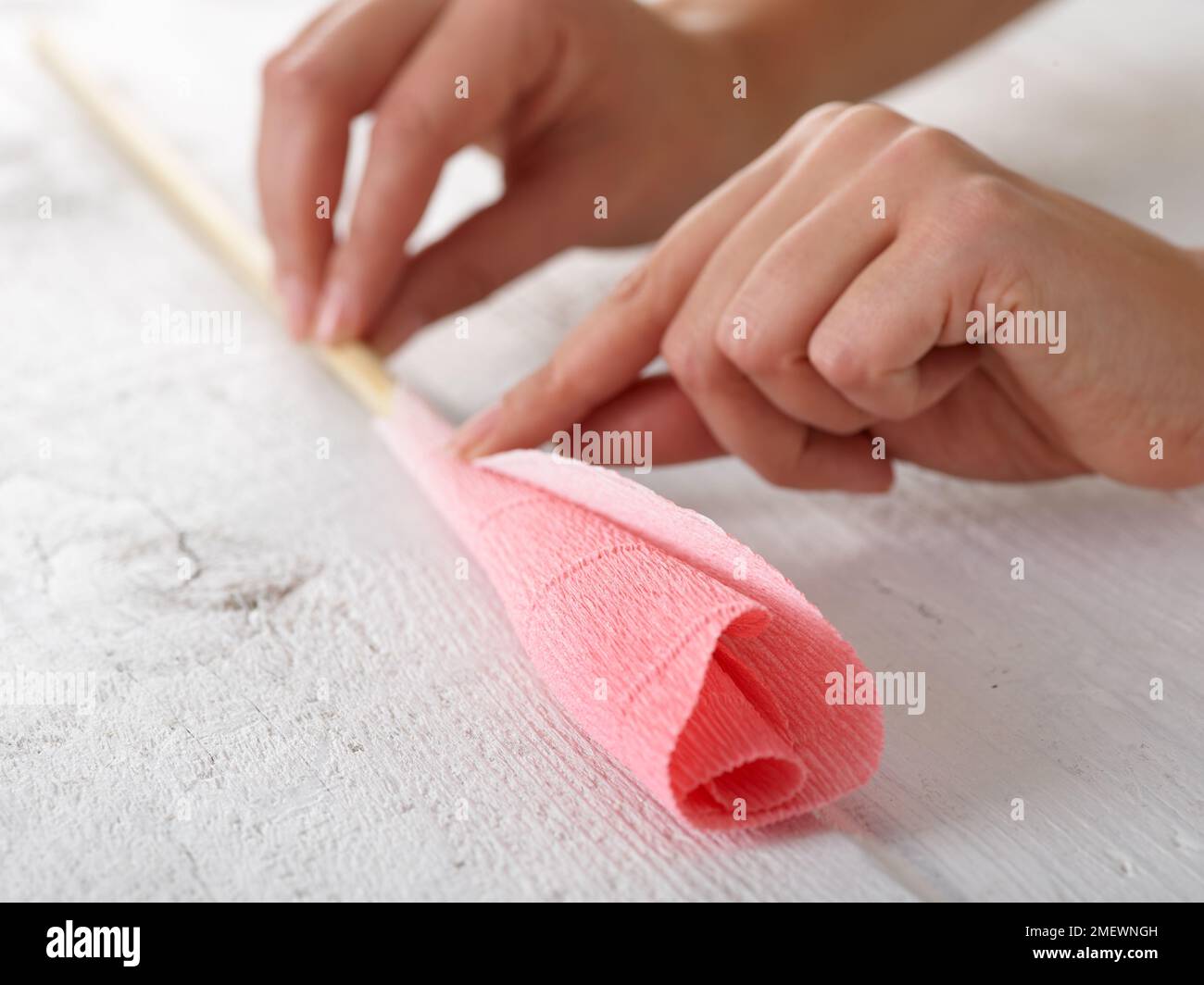 Papercraft Giant roses steps Stock Photo - Alamy