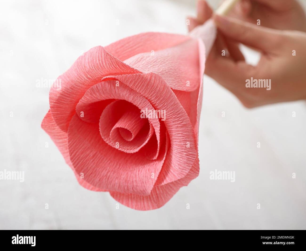 Papercraft Giant roses steps Stock Photo - Alamy