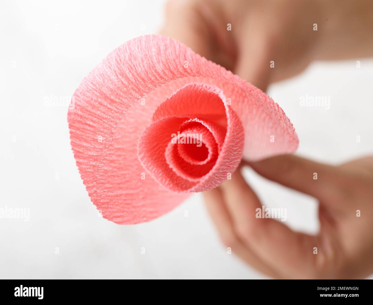 Papercraft Giant roses steps Stock Photo - Alamy