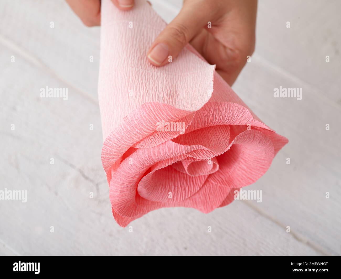 Papercraft Giant roses steps Stock Photo - Alamy