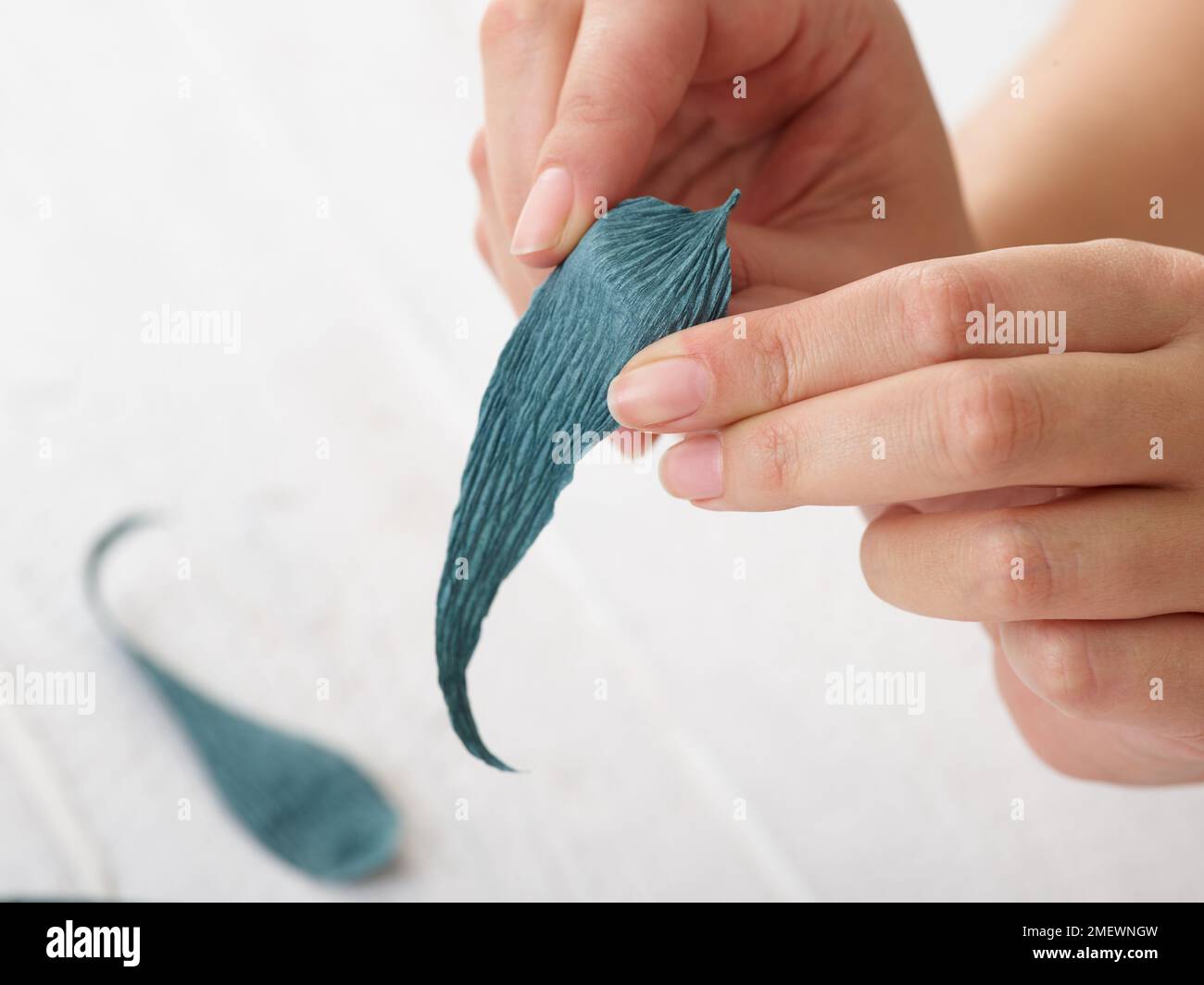 Papercraft Giant roses steps Stock Photo - Alamy