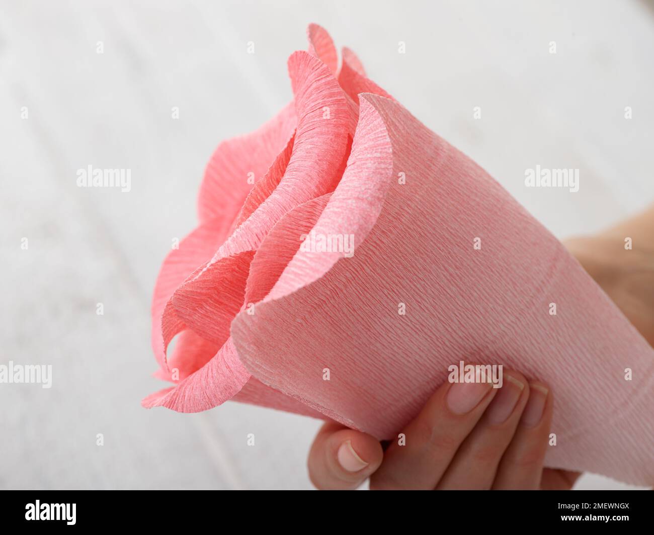 Papercraft Giant roses steps Stock Photo - Alamy
