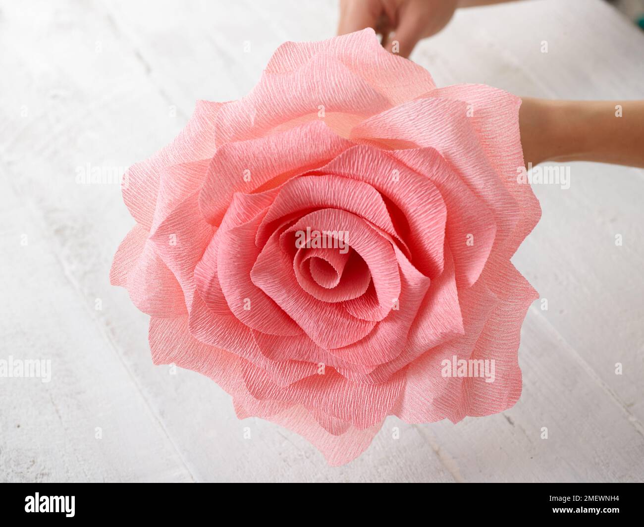Papercraft Giant roses steps Stock Photo - Alamy