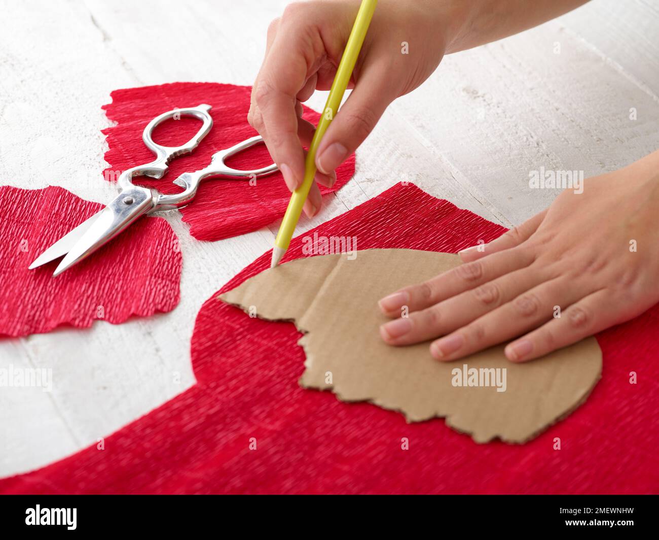 Papercraft Giant Poppy steps Stock Photo - Alamy