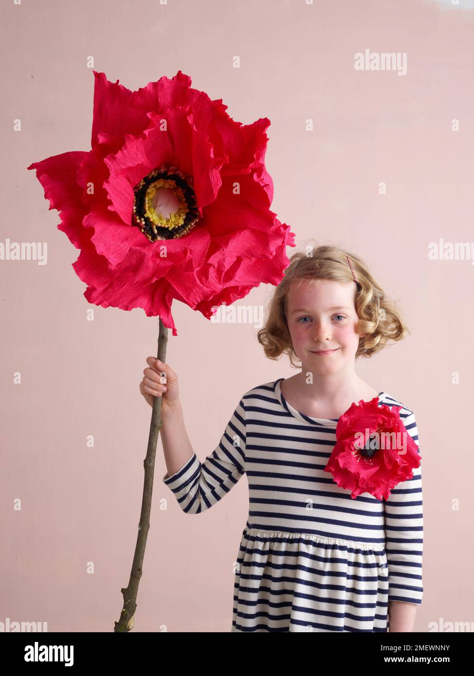 Papercraft Giant Poppy beauty shot Stock Photo - Alamy